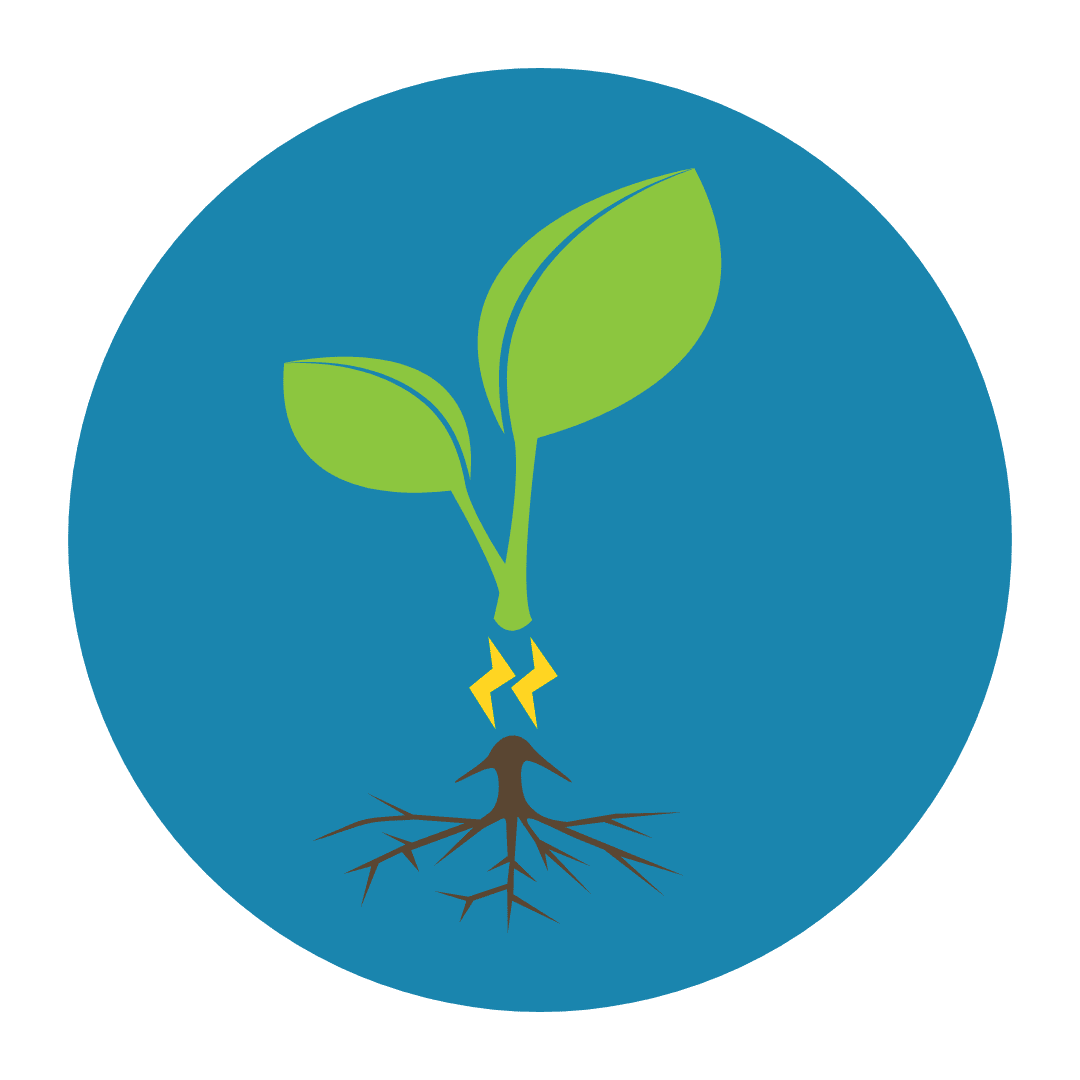 GrowTH Network - Root in Nature