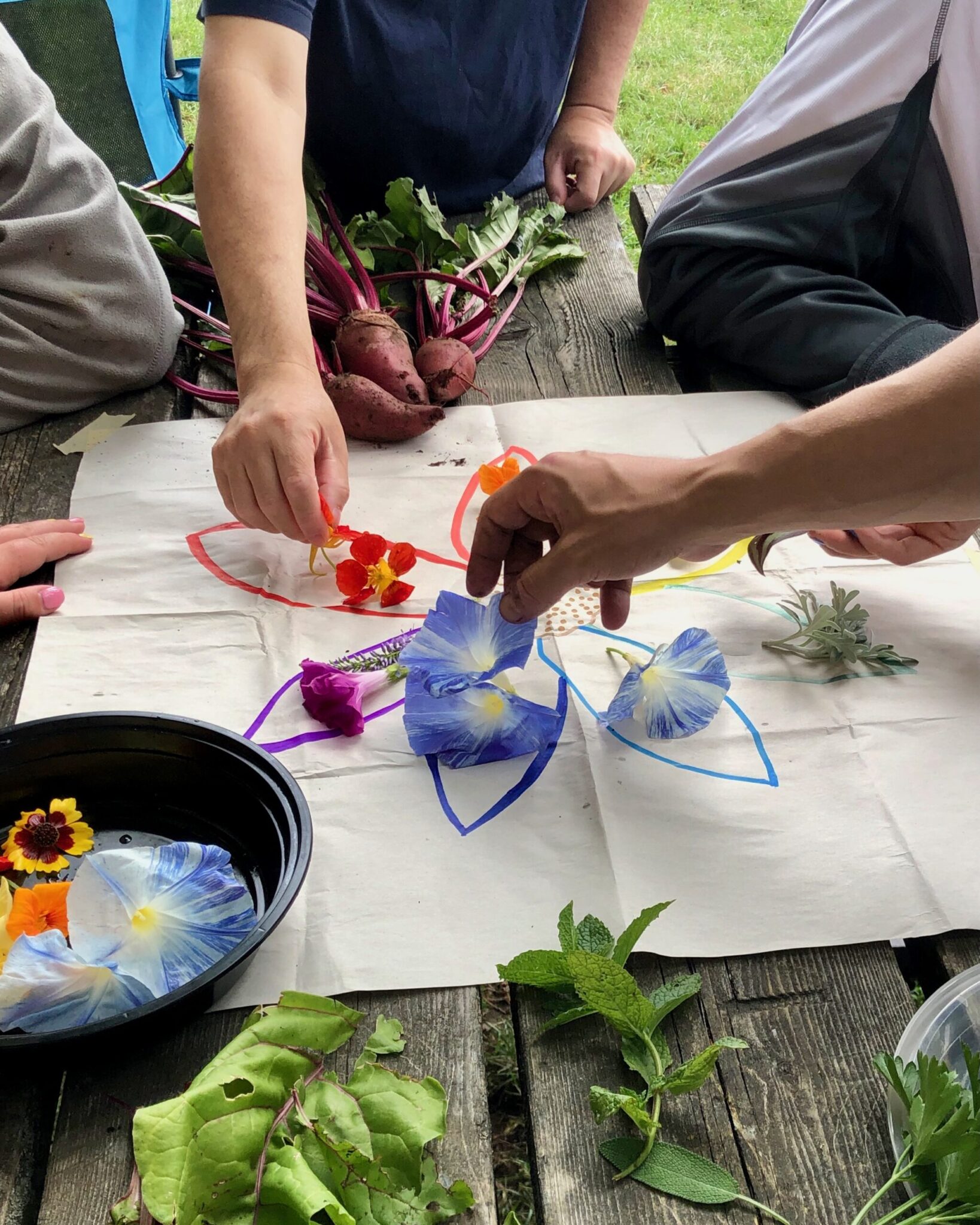 Courses Root In Nature