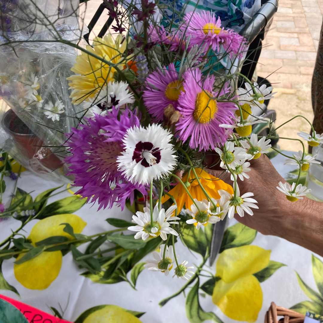 Courses Overview – Root in Nature