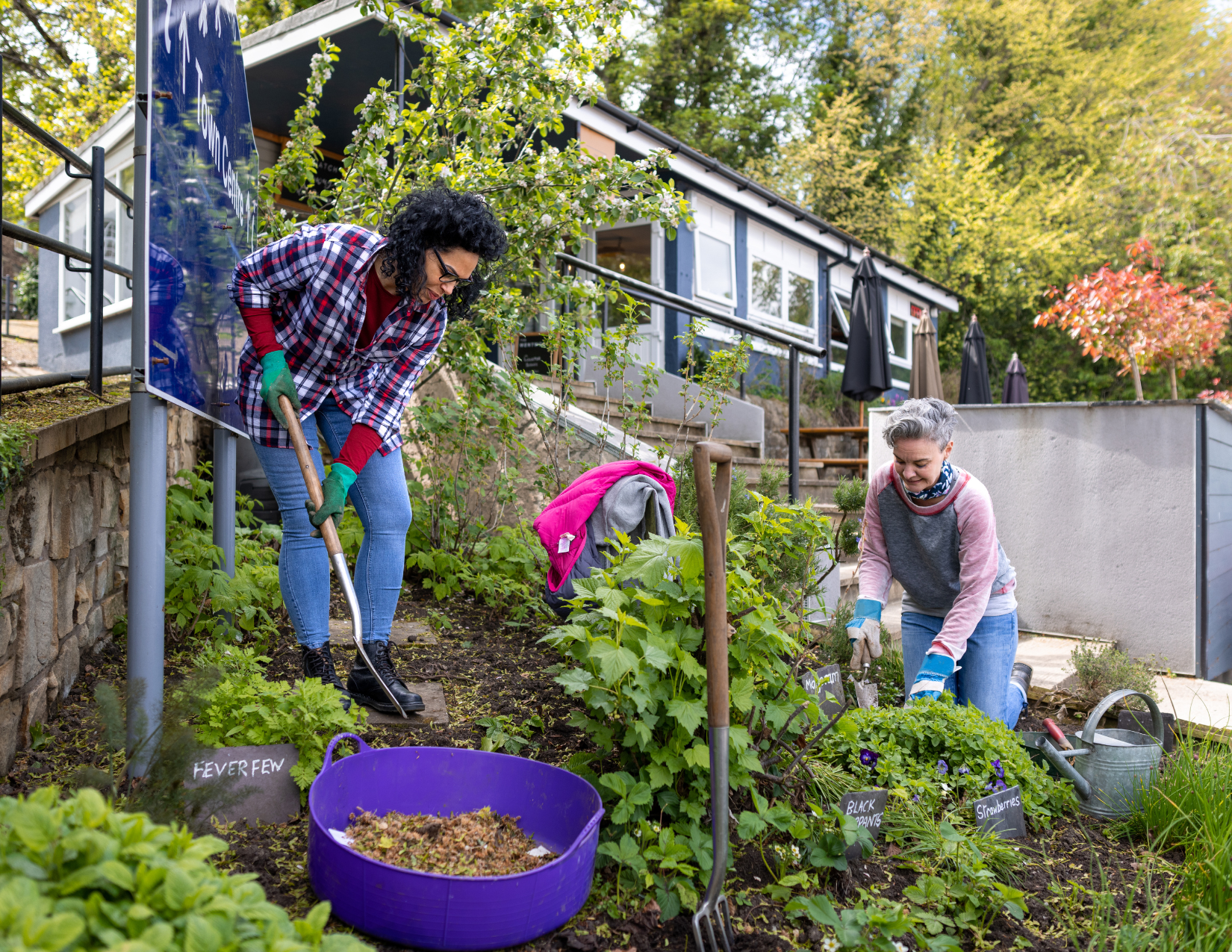 An Investigation into the Potential of Horticultural and Nature-Based ...