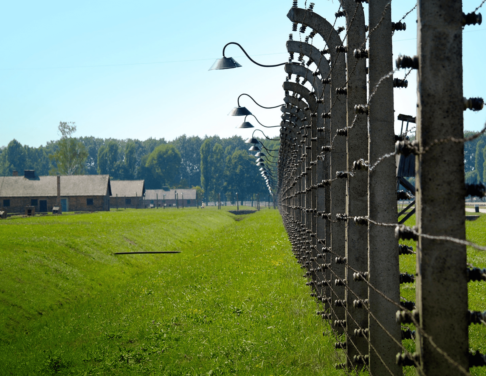 Growing Health in UK Prison Settings - Root in Nature