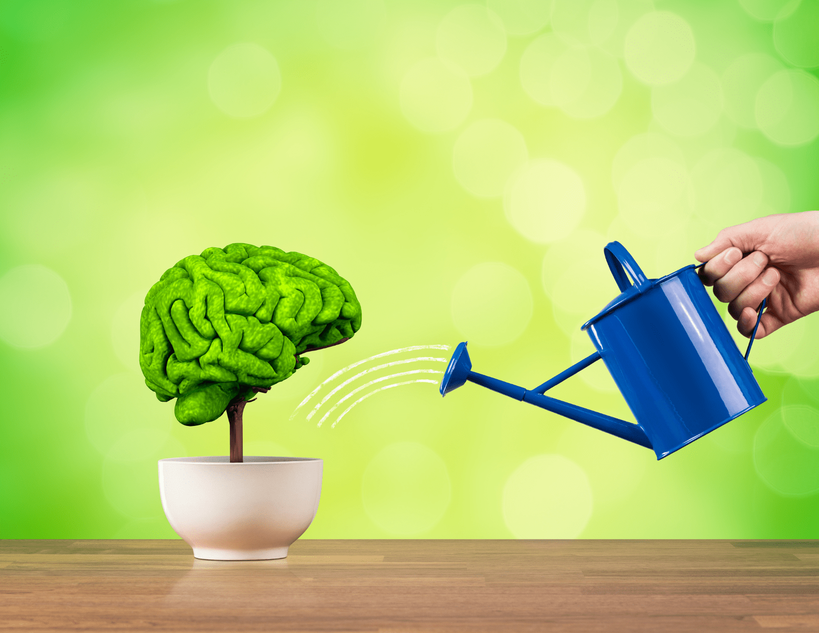 Benefits of Gardening Activities for Cognitive Function According to ...