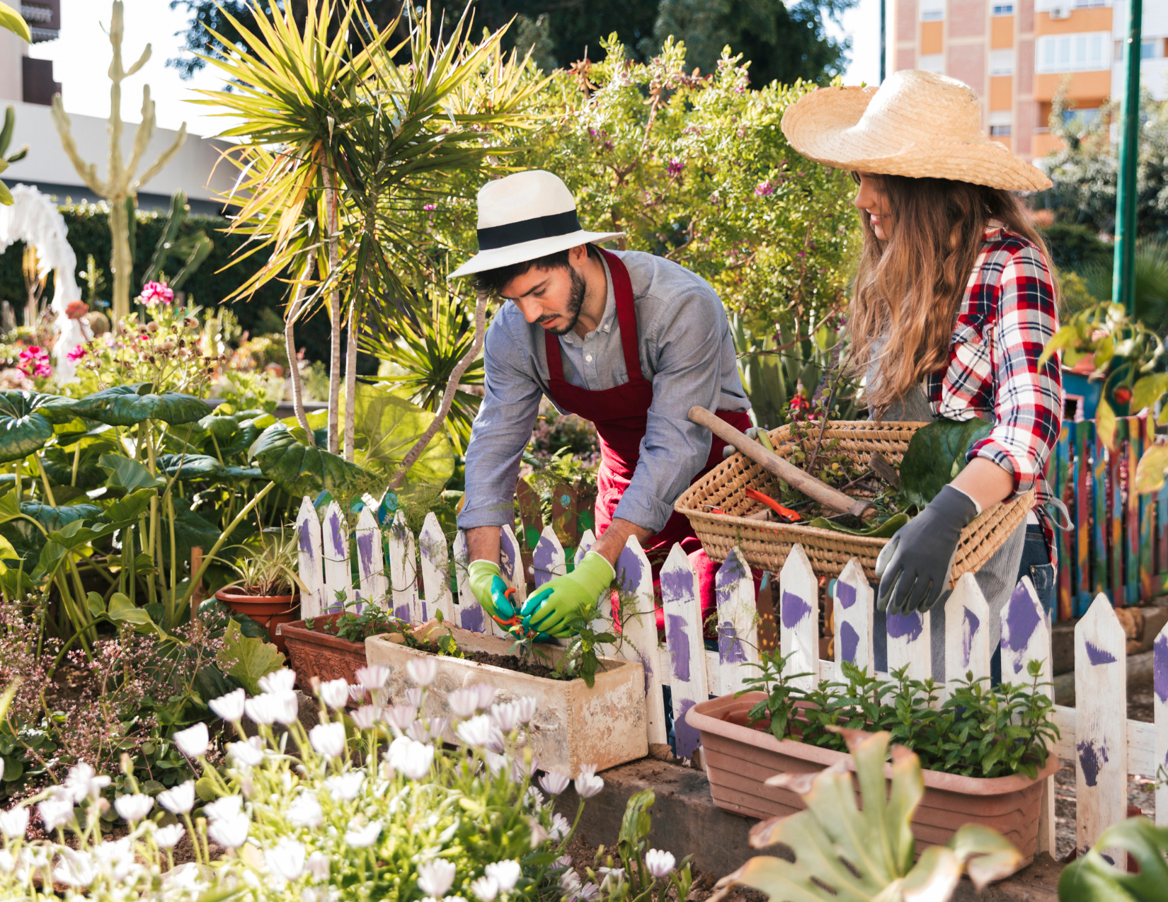 Nurtured by Nature: Psychological Research is Advancing our ...