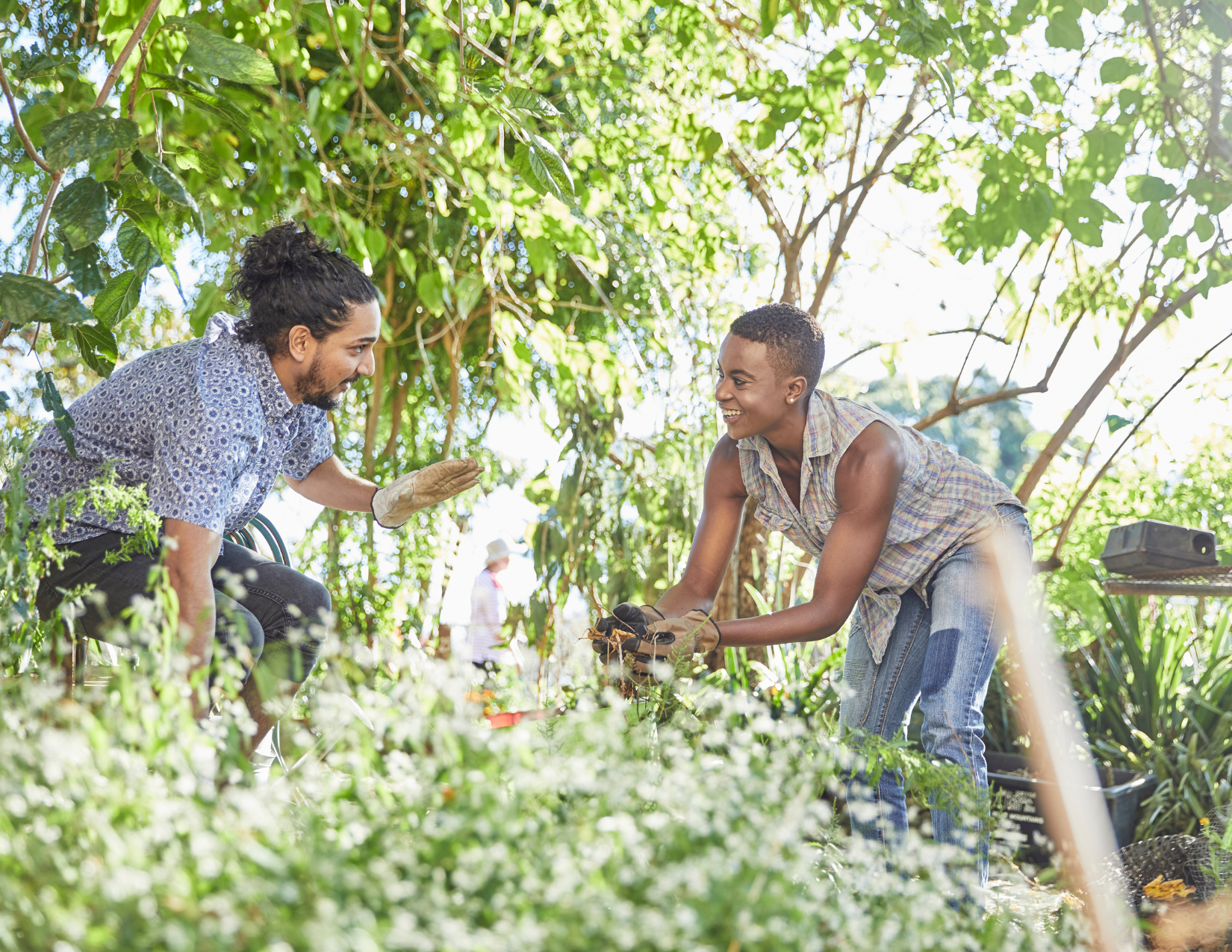 Therapeutic Model. In the Profession and Practice of Horticultural ...