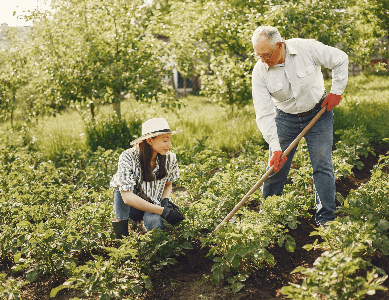 Understanding Motivations for Gardening Using a Qualitative General ...