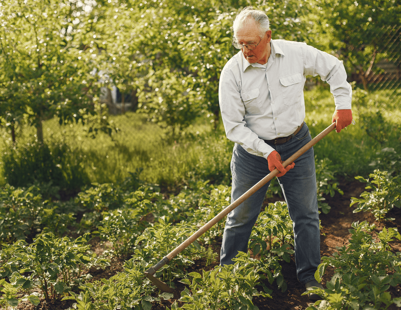 Nature-Based Therapy as a Treatment for Veterans with PTSD: What Do We ...