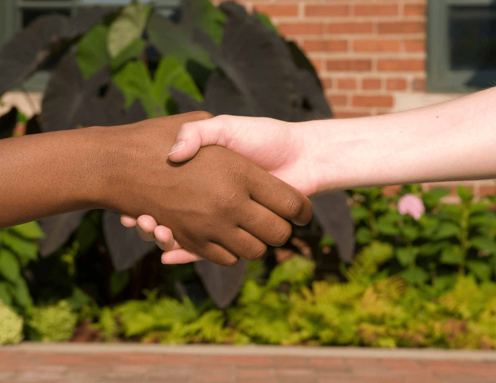 Community Gardening as a Way to Build Cross-Cultural Community ...