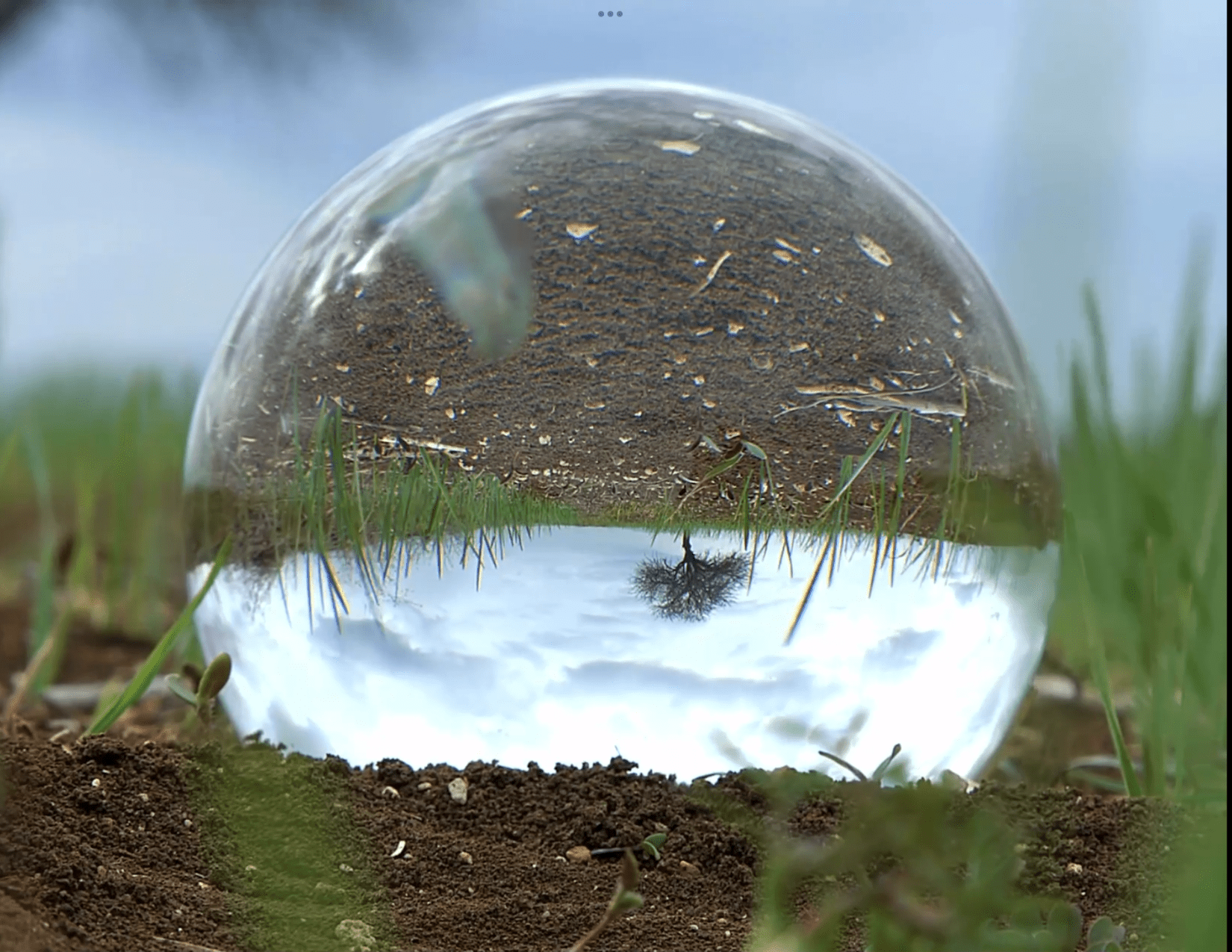 Identifying Types of Eco-Anxiety, Eco-Guilt, Eco-Grief, and Eco-Coping ...