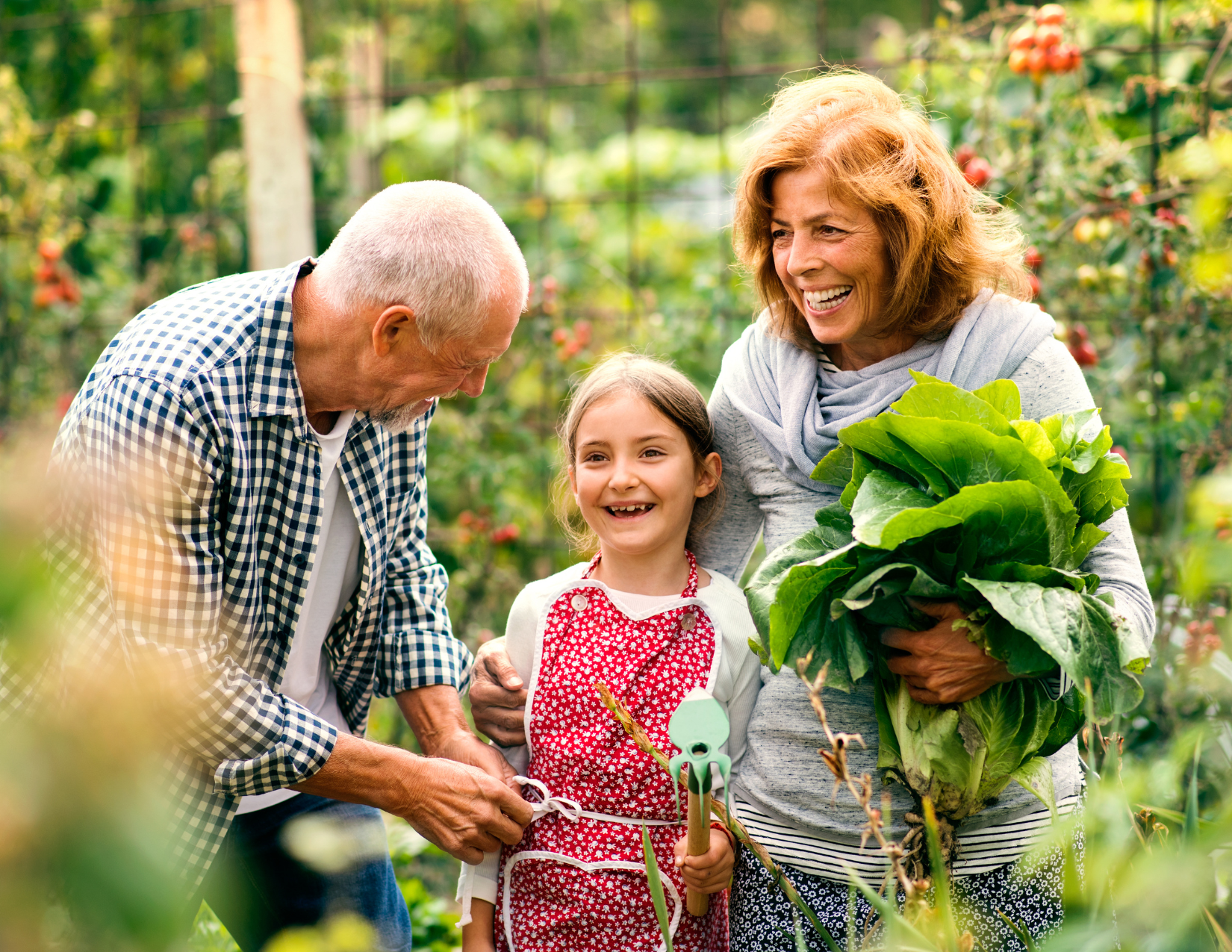 Innovations in Intergenerational Programs for Persons Who Are Elderly ...