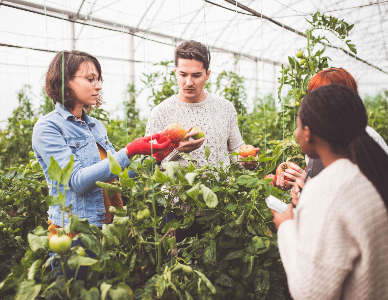 We Share and We Grow Together: Application of Social and Therapeutic ...