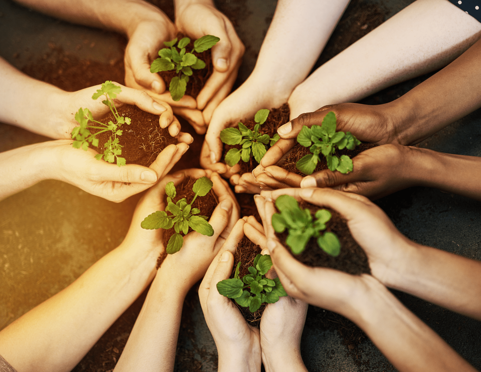 A Case Study of Horticultural Instruction as Education of Vocational ...