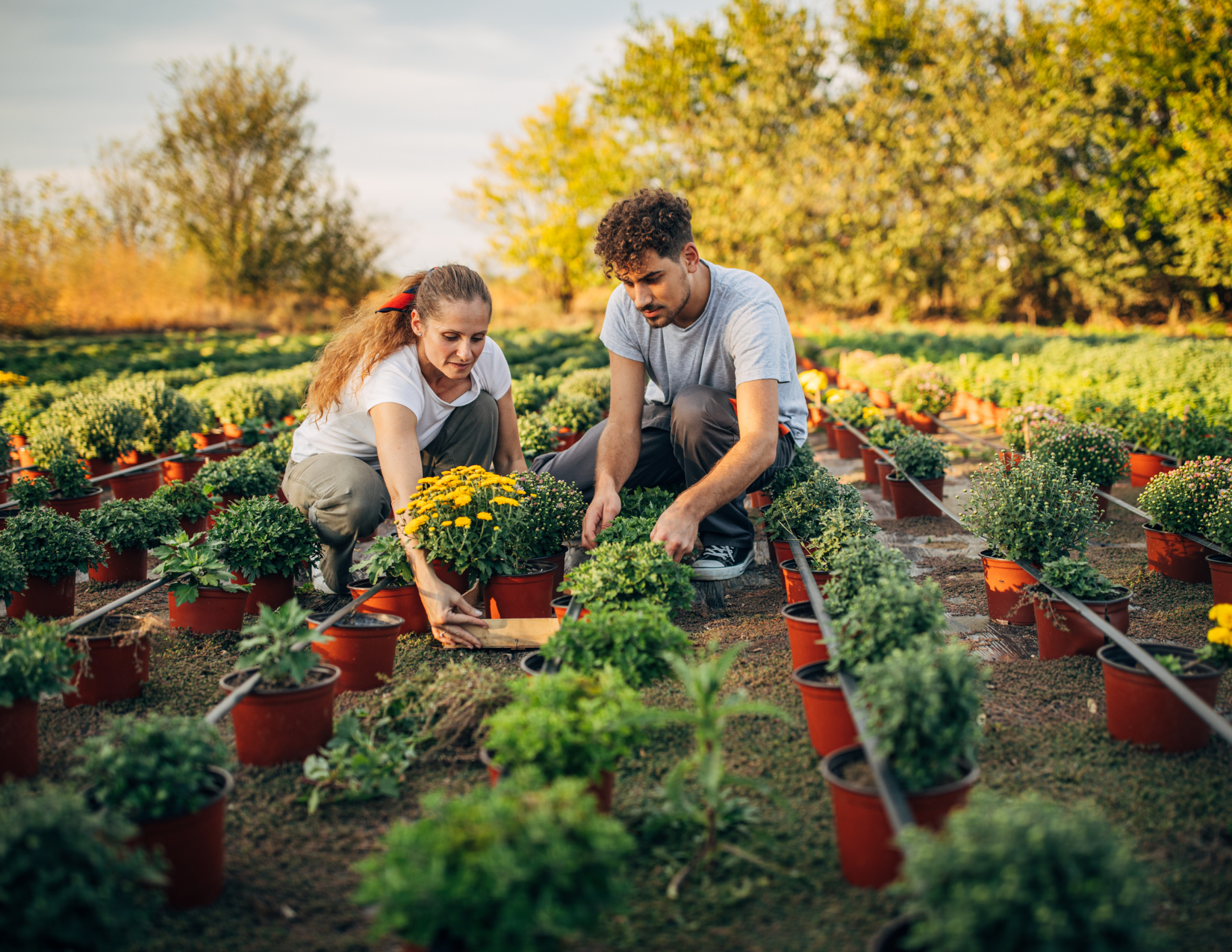 Gardening Tasks Performed by Adults are Moderate- to High-Intensity ...