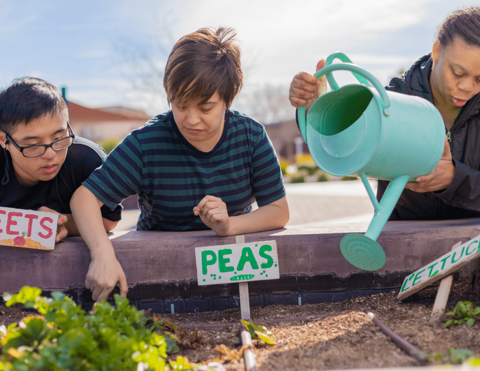 Nature-Based Interventions for Adults with Developmental Disabilities ...