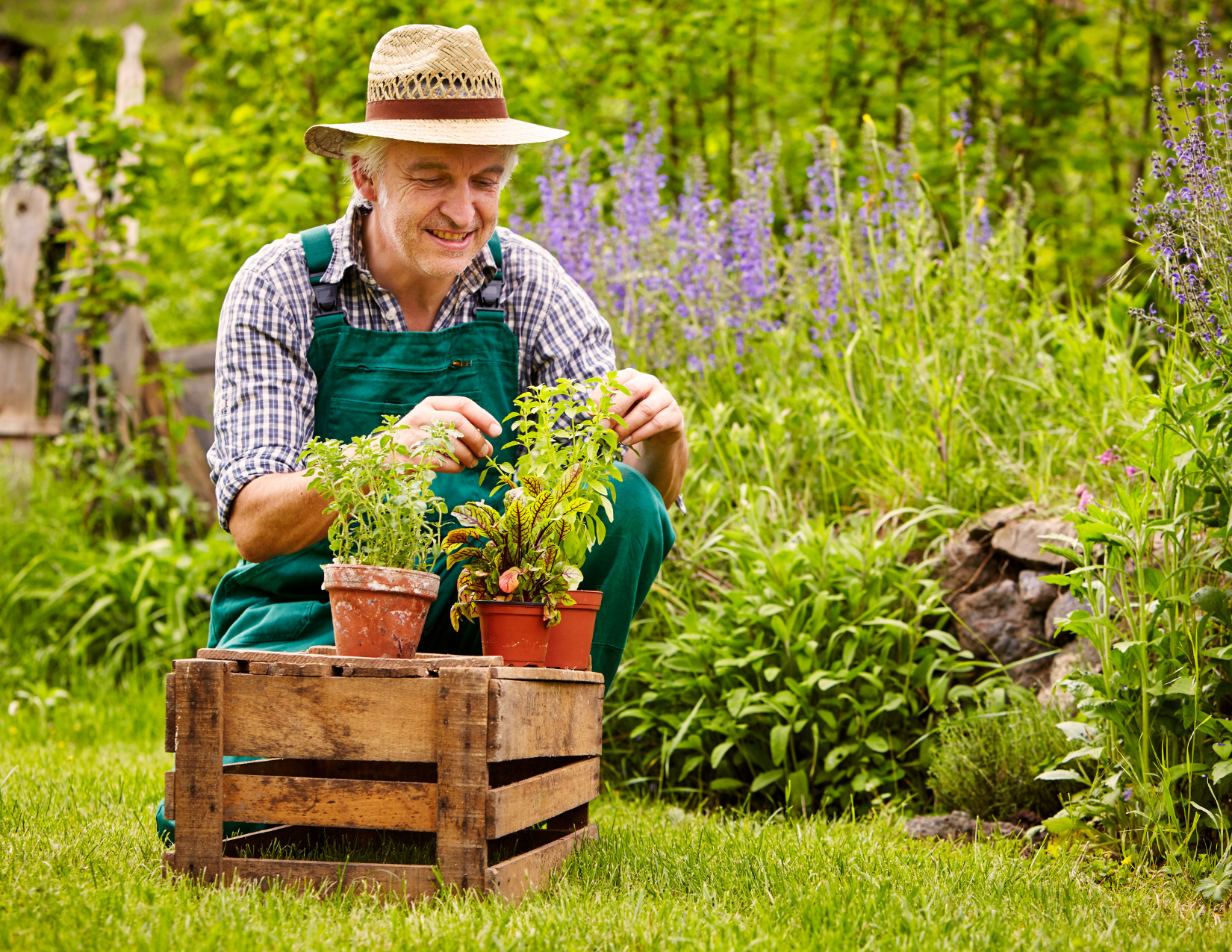 Nature-Based Interventions for Psychological Wellbeing in Long-Term ...
