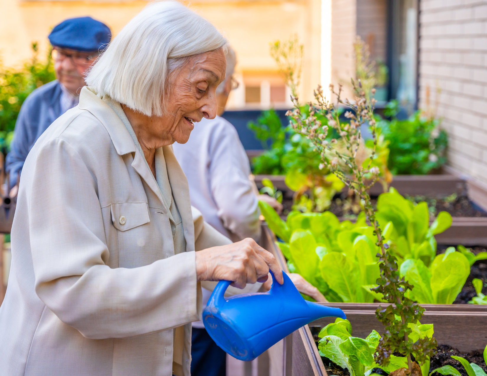 Nature-Based Design in Stroke Rehabilitation Environments: A Scoping ...