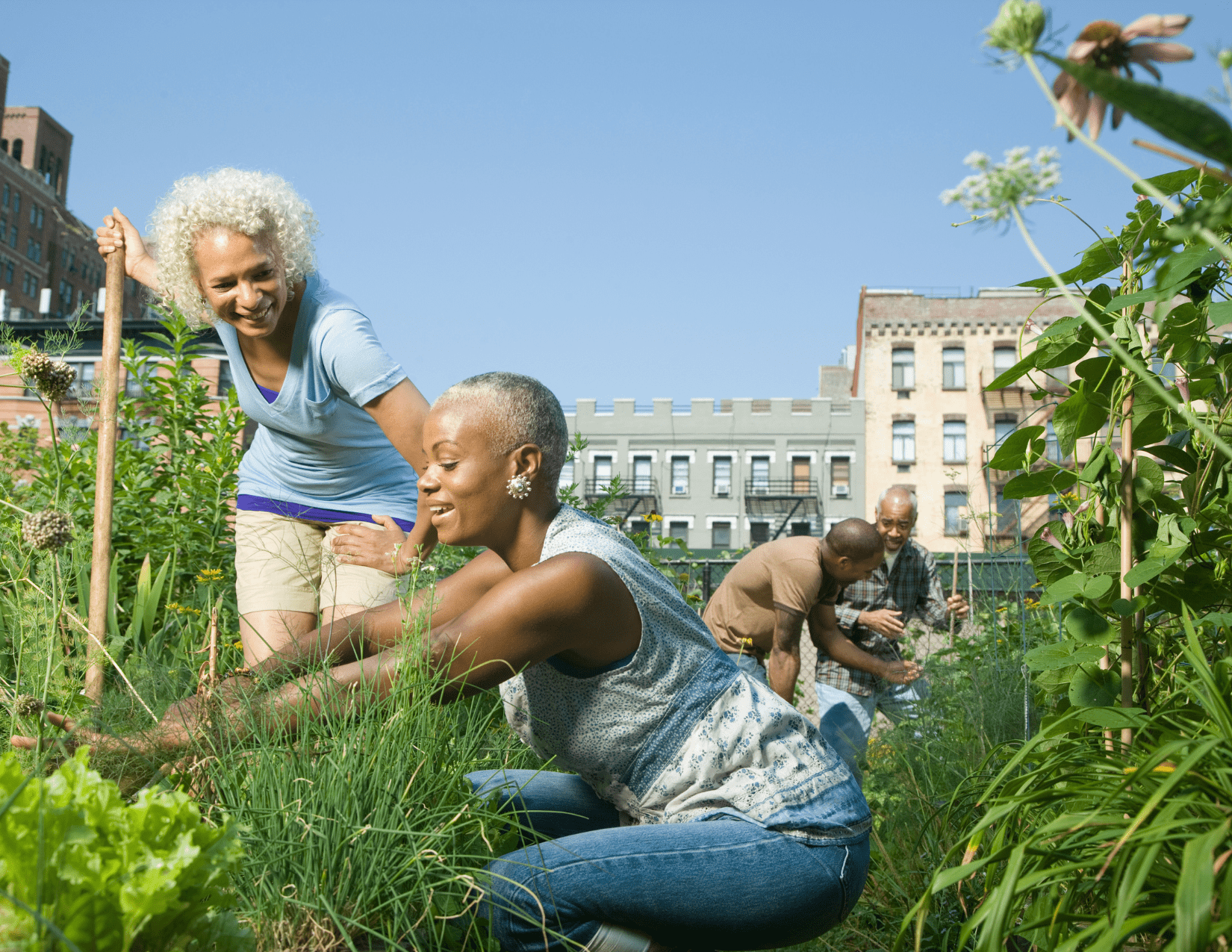 Nature and Mental Health: An Ecosystem Service Perspective - Root in Nature