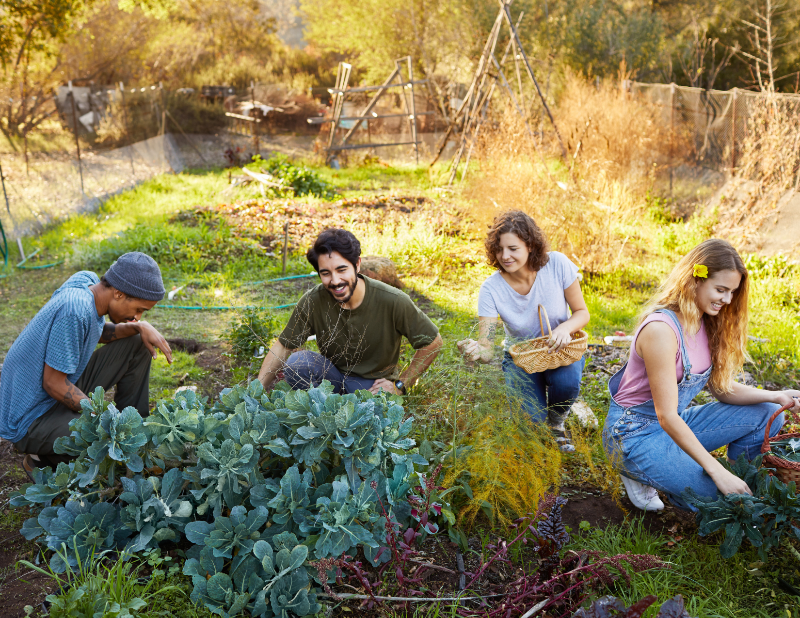 Nature-Based Interventions in Institutional and Organisational Settings ...