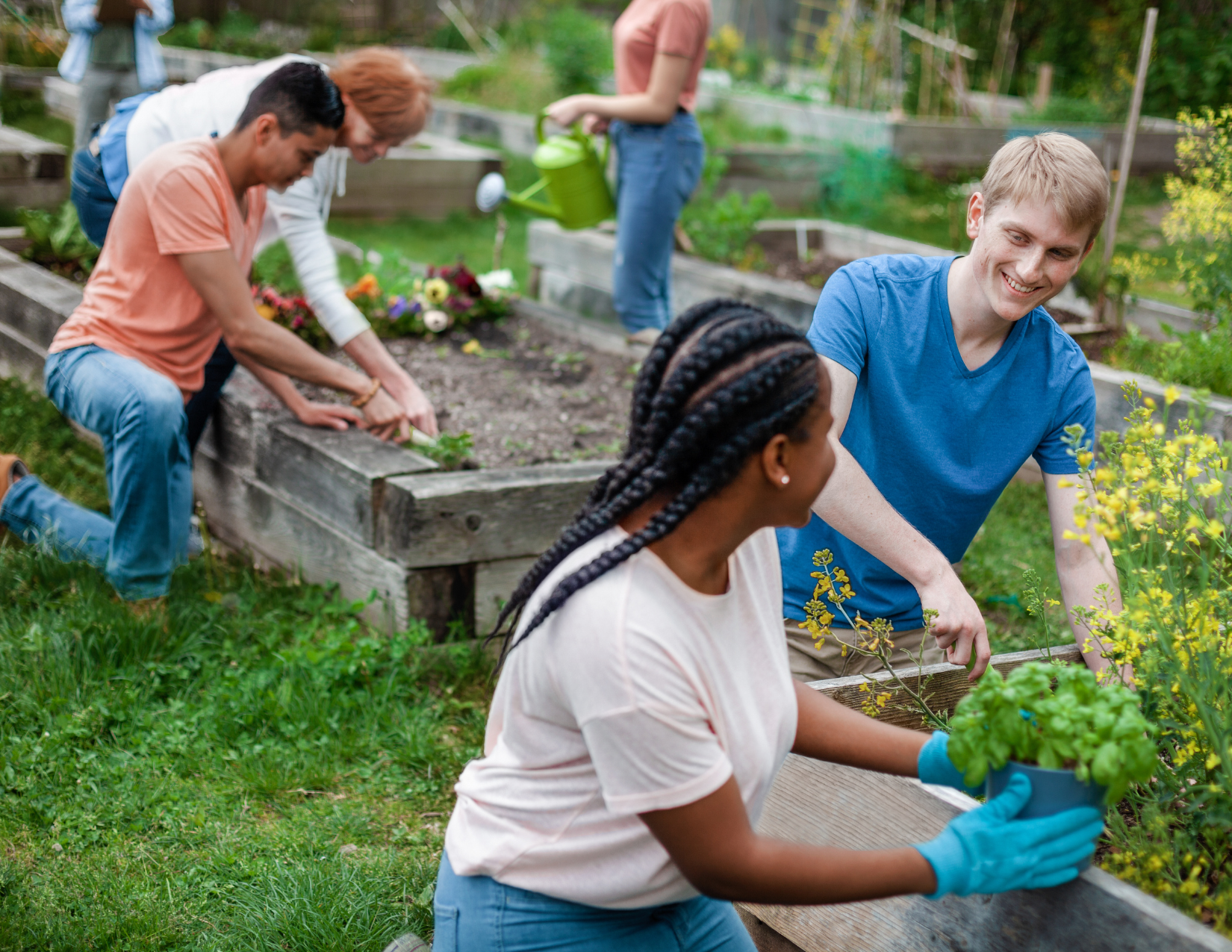 Promoting Sustainable Well-Being Through Nature-Based Interventions for ...