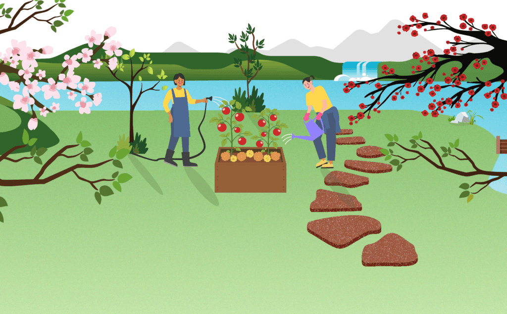 Branching Out - Root in Nature