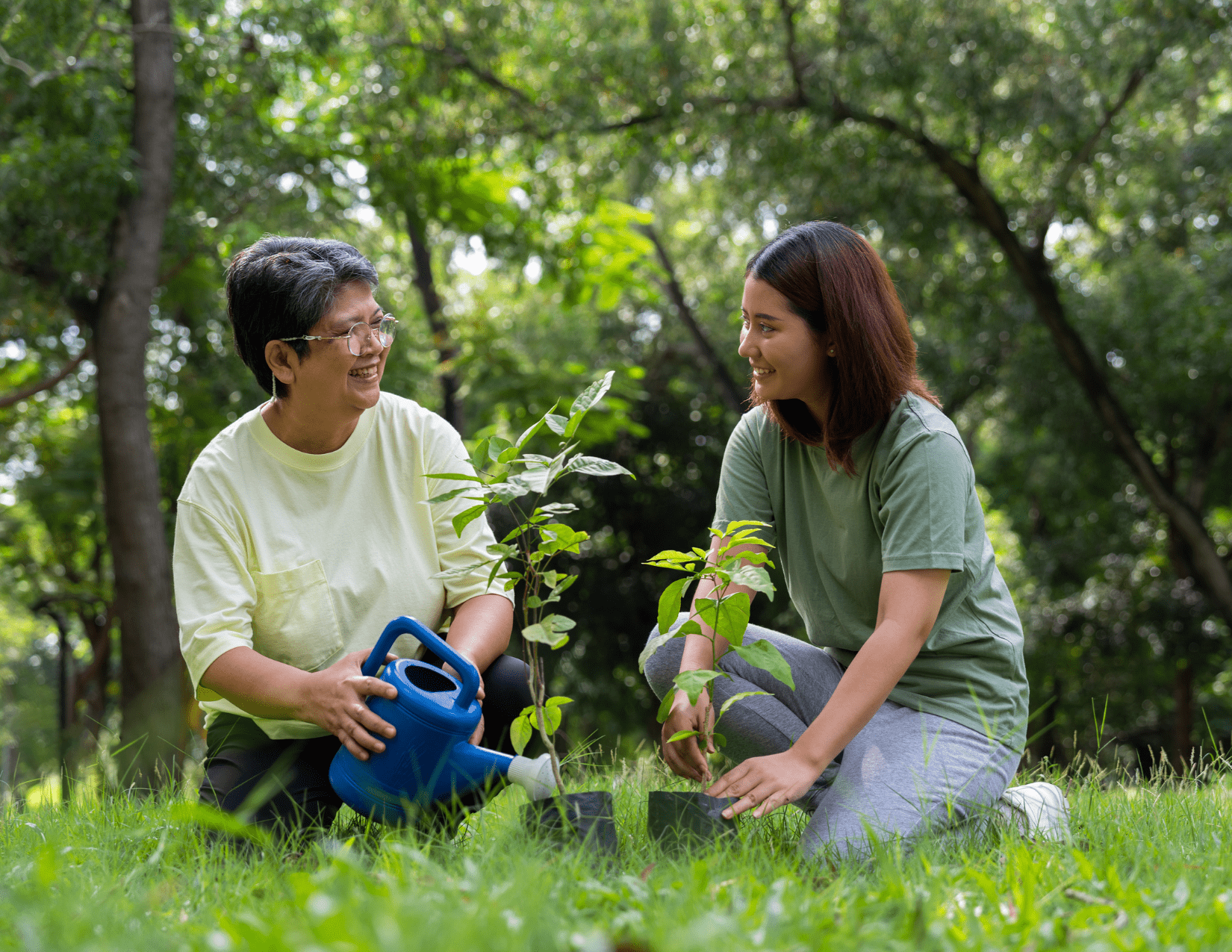 A Nature-Based Intervention to Support the Well-Being of Baccalaureate ...