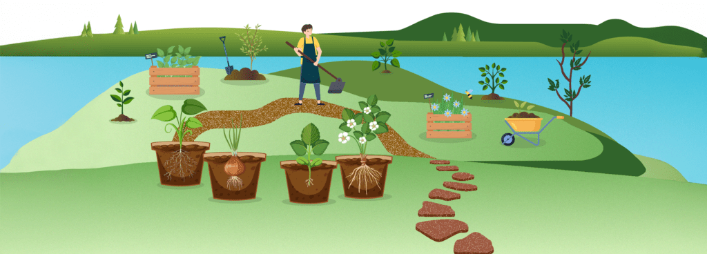 Taking Root - Root in Nature